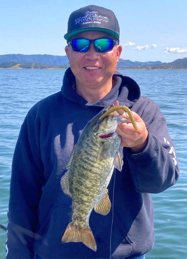 My Senko Story - Baits.com