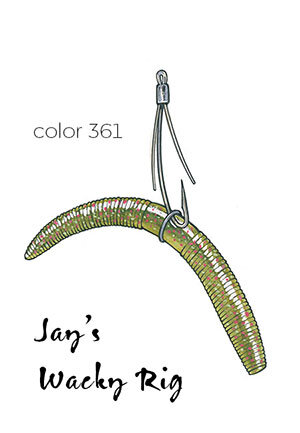 5-inch Senko Rigging Guide - Pro's Choice - Baits.com