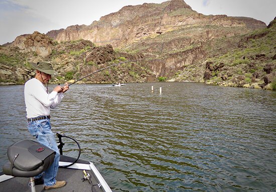 Mojo Rigs for Summer Bass - Baits.com