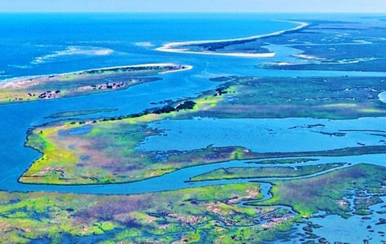 Beatin' the Bank: 2019 Winyah Bay BASS Elite - Baits.com